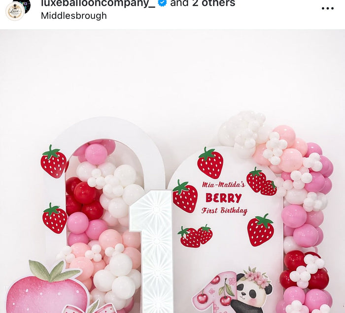 10 First Birthday Balloon Display Ideas | Zebra Print Events